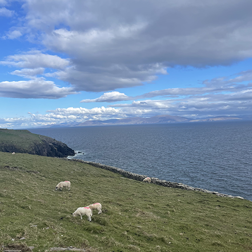 Le stage professionnel de Ninon Jaillet - ESTRI - School for ...