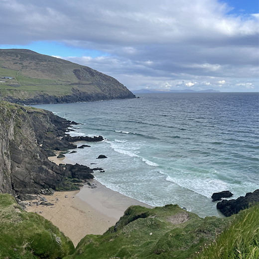 Le stage professionnel de Ninon Jaillet - ESTRI - School for ...